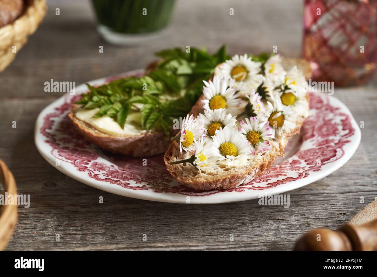 Goutweed and common daisy flowers - spring wild edible plants on slices ...