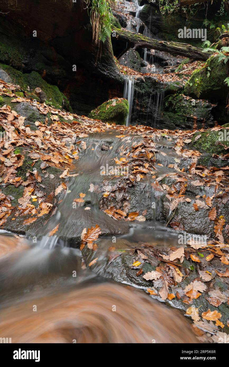 A waterfall near Coalbrookdale, Ironbridge in Autumn with eddy pools ...