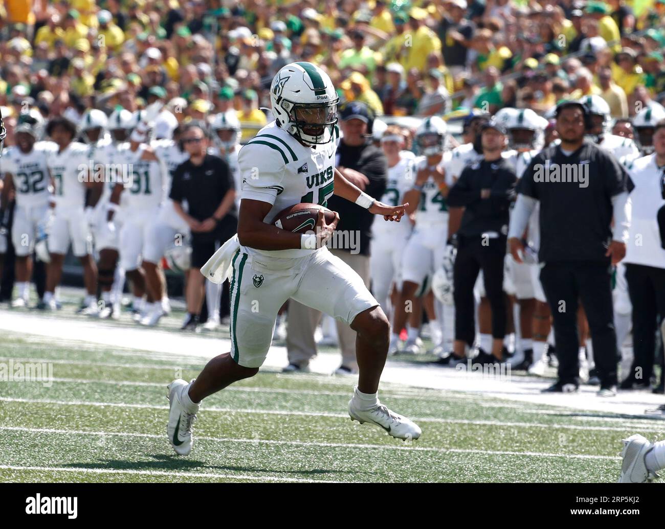 September 2, 2023: Portland State Vikings quarterback Dante Chachere ...