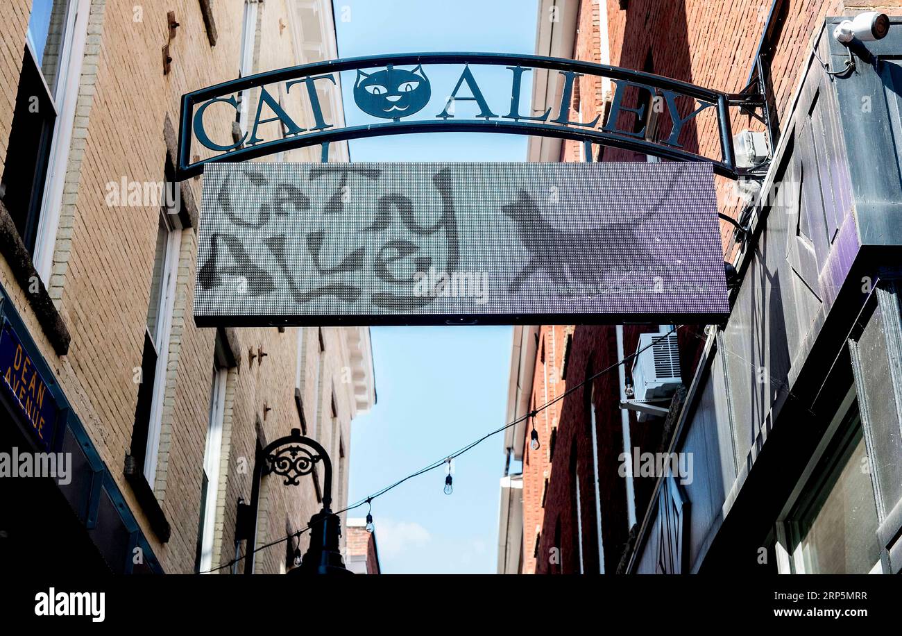 Manchester, New Hampshire, USA. 03rd Sep, 2023. Wrought iron and a cat ...