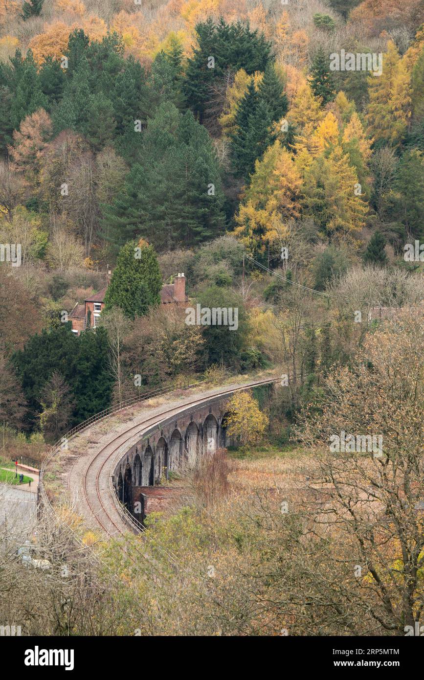 Natural, deciduous woodland growing on the steep slopes of the ...
