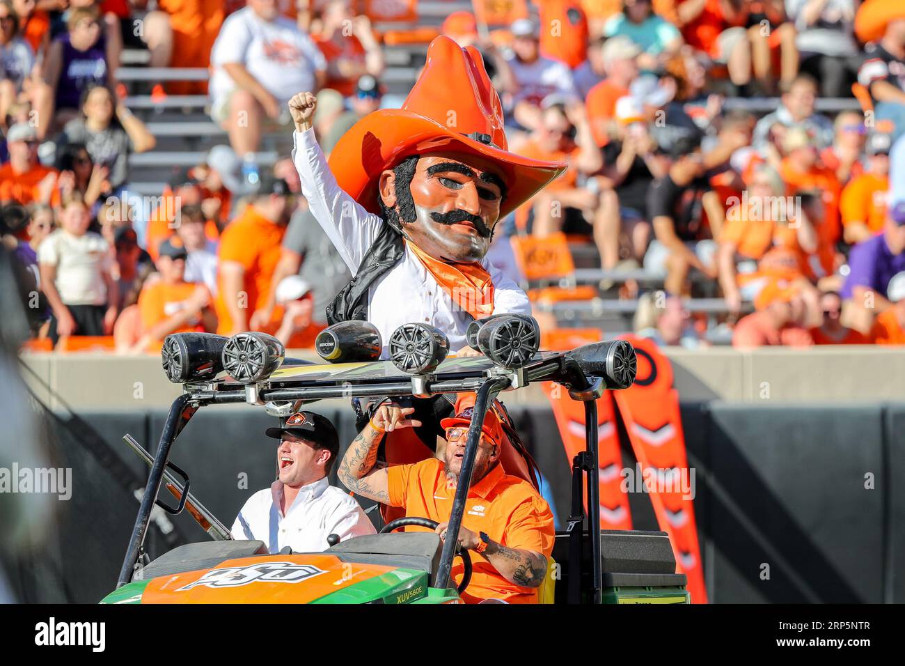 University Of Central Arkansas Mascot