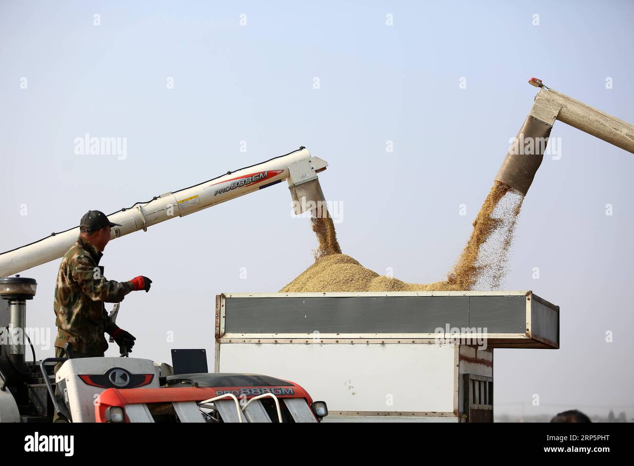 Vice grains hi-res stock photography and images - Alamy