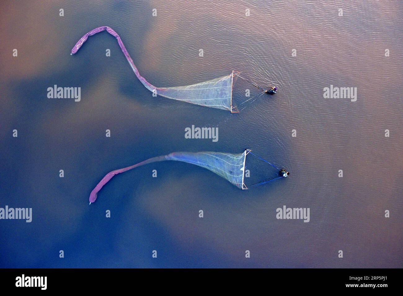 Brine shrimp harvest hi-res stock photography and images - Alamy