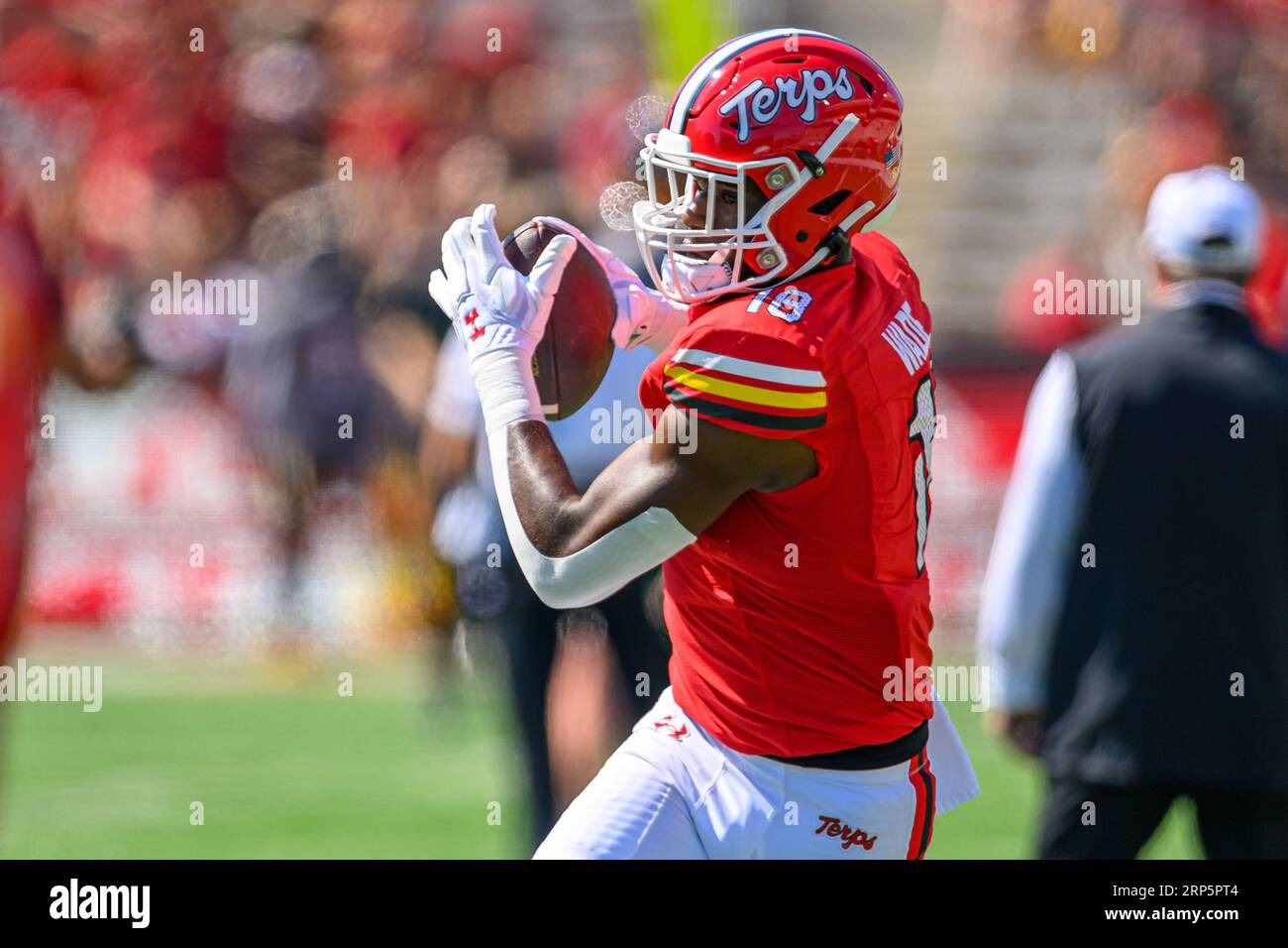 College Park, MD, USA. 02nd Sep, 2023. Maryland Terrapins tight end ...