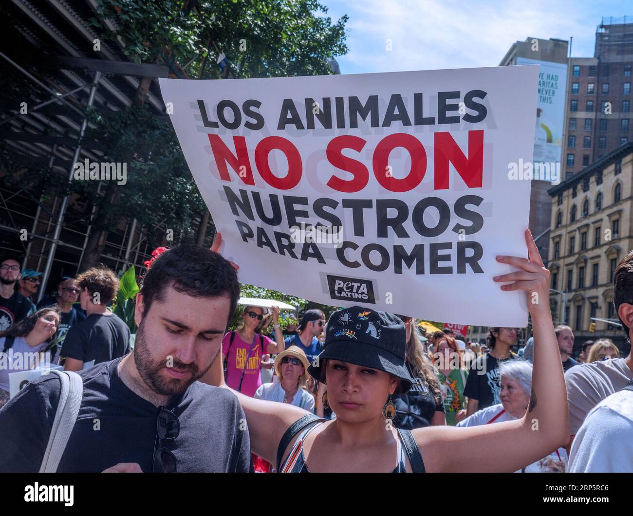 Peta animal testing hi-res stock photography and images - Alamy