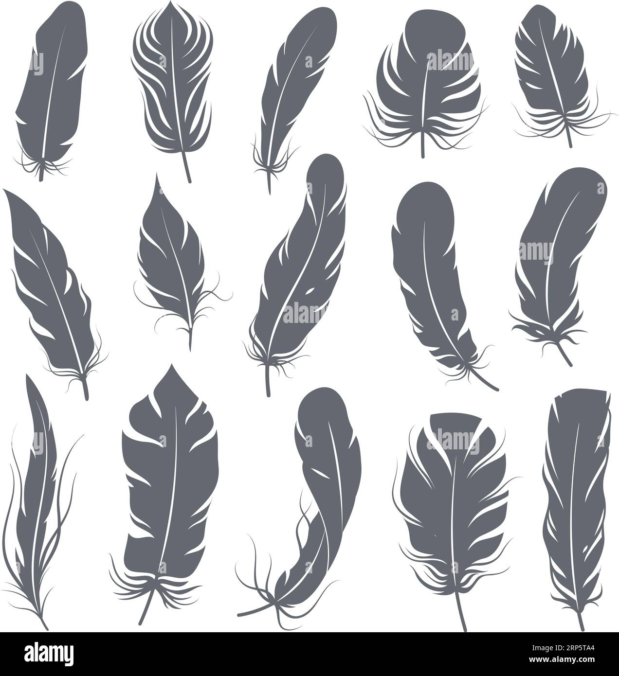 Signature wings hi-res stock photography and images - Alamy