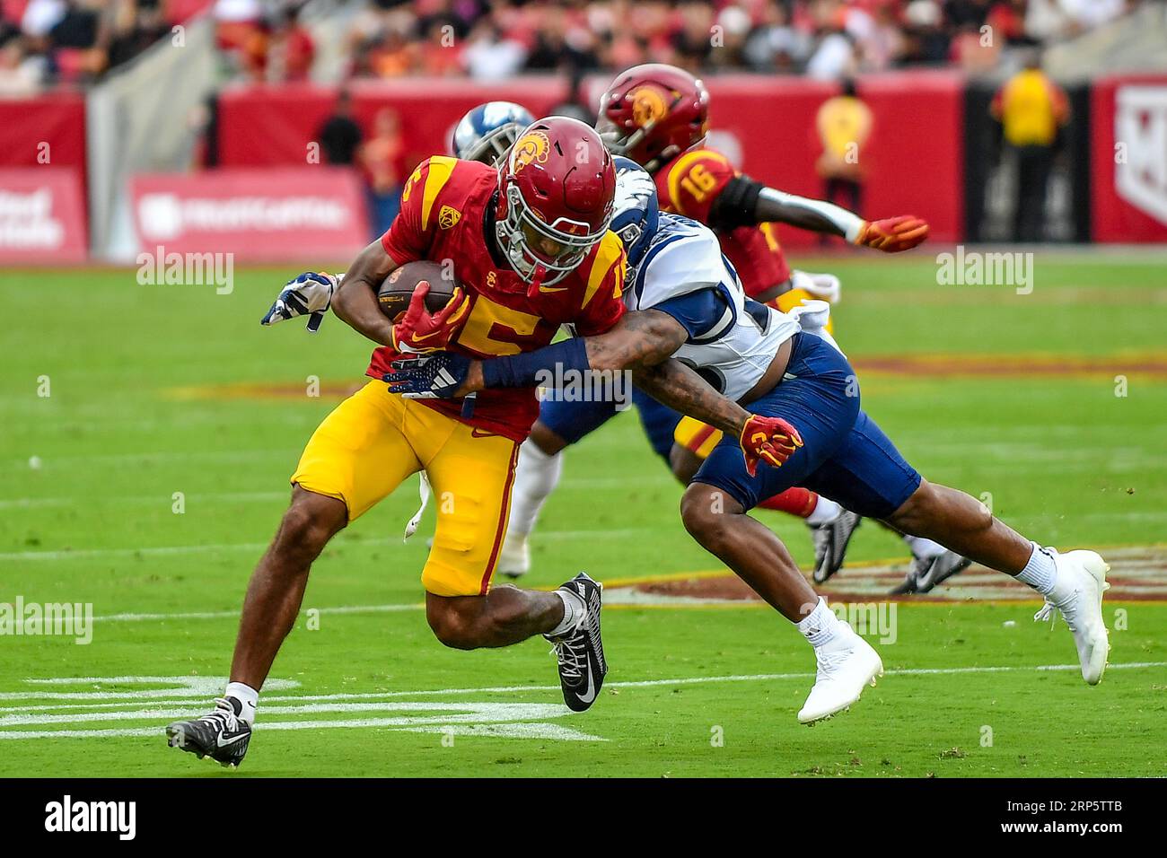 Dorian wolf hi-res stock photography and images - Alamy