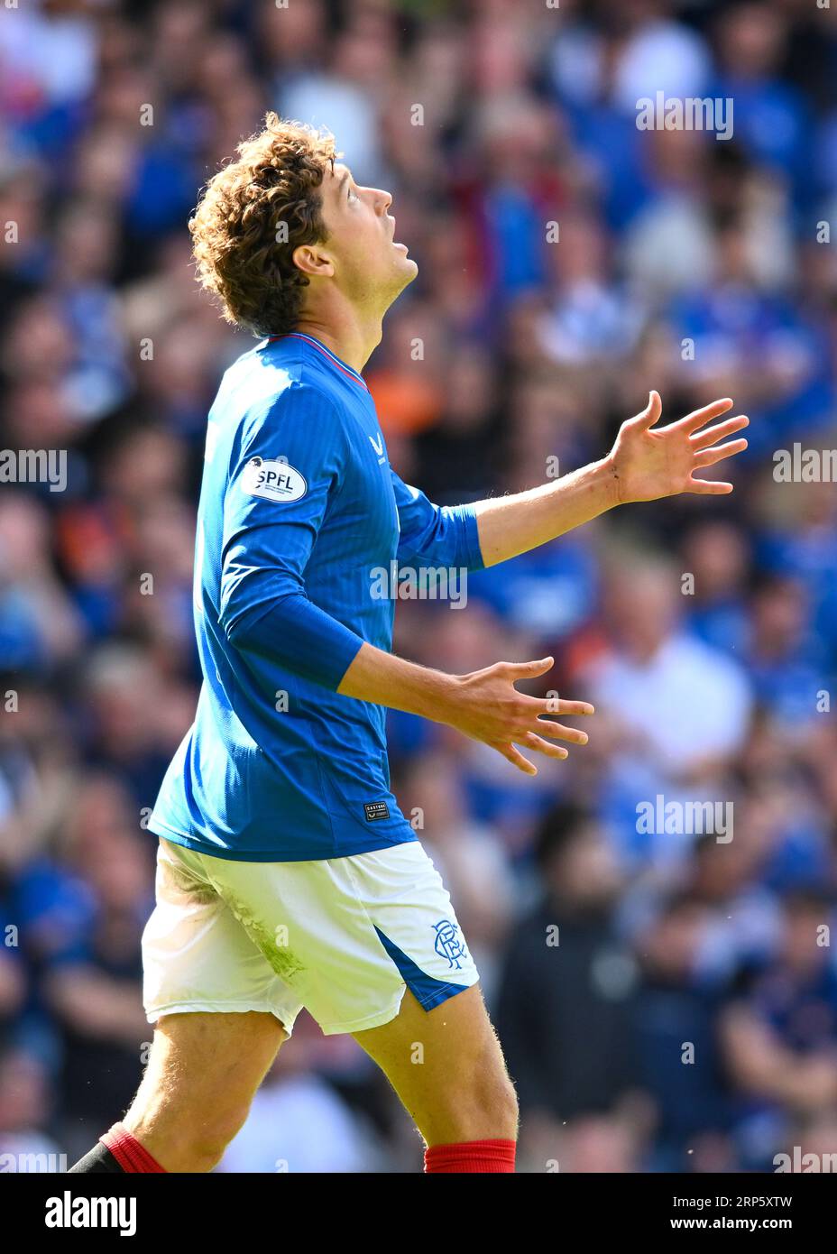 Lammers hi-res stock photography and images - Alamy