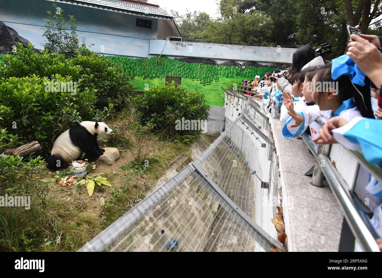 12 year old birthday party hi-res stock photography and images - Alamy