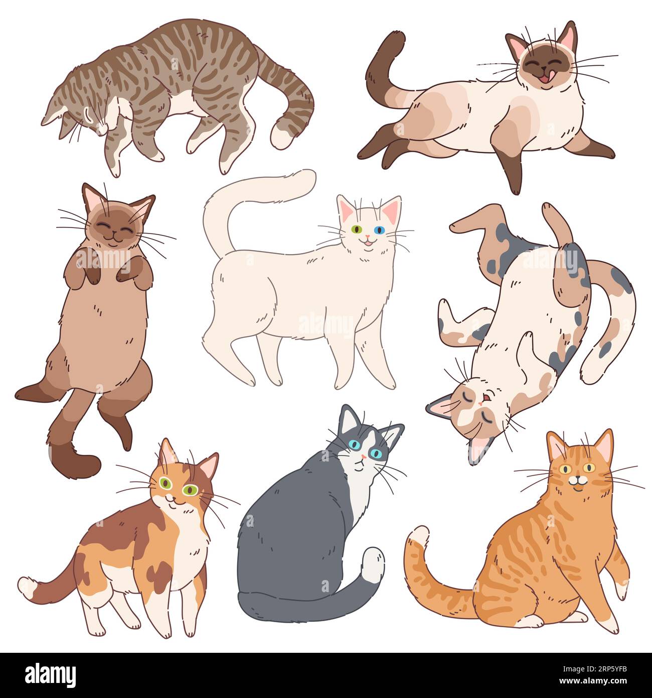 Siamese kittens Stock Vector Images - Alamy