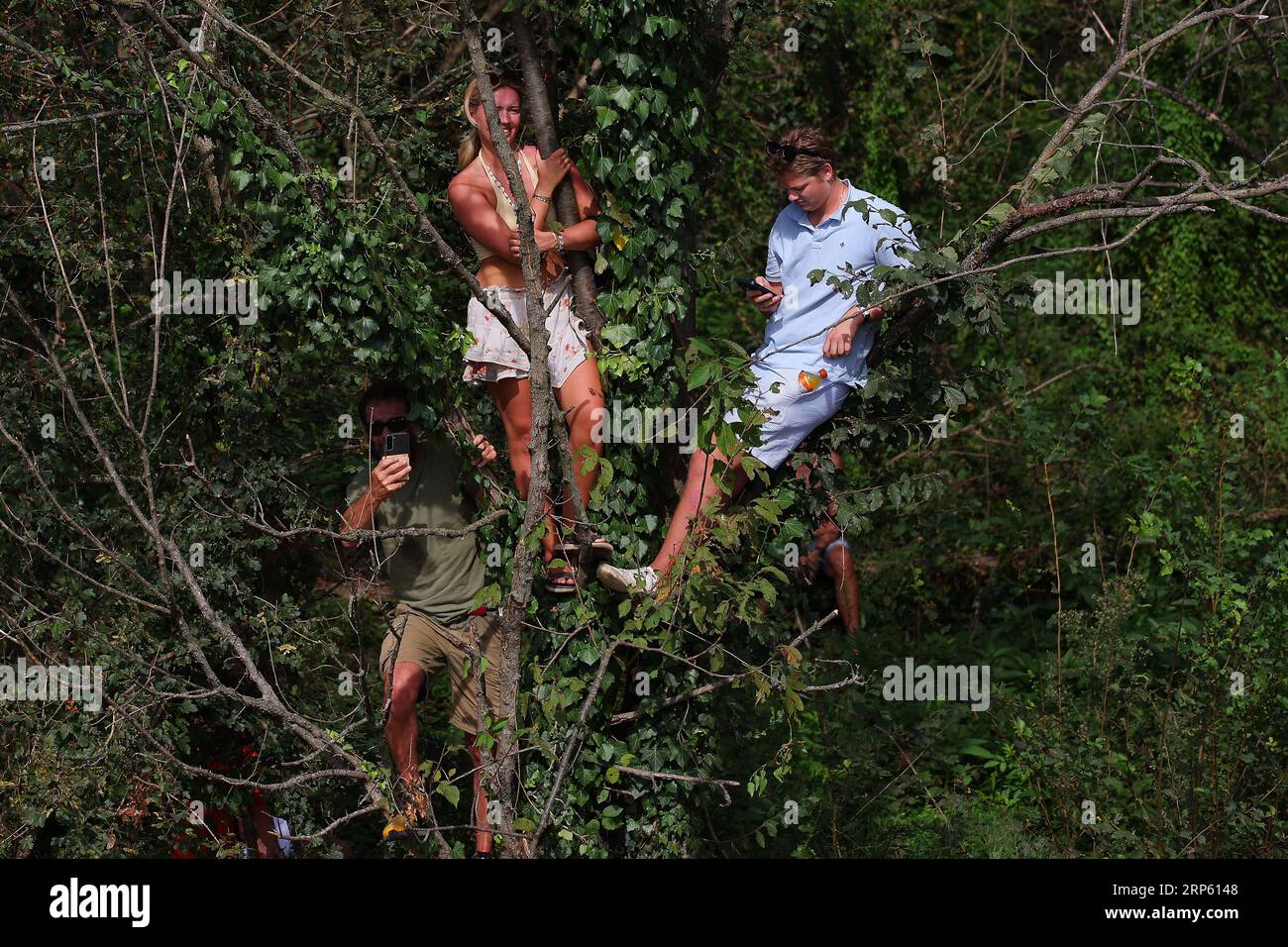 Supporters during the 2023 Formula 1 Pirelli Grand Premio dâ€™Italia ...