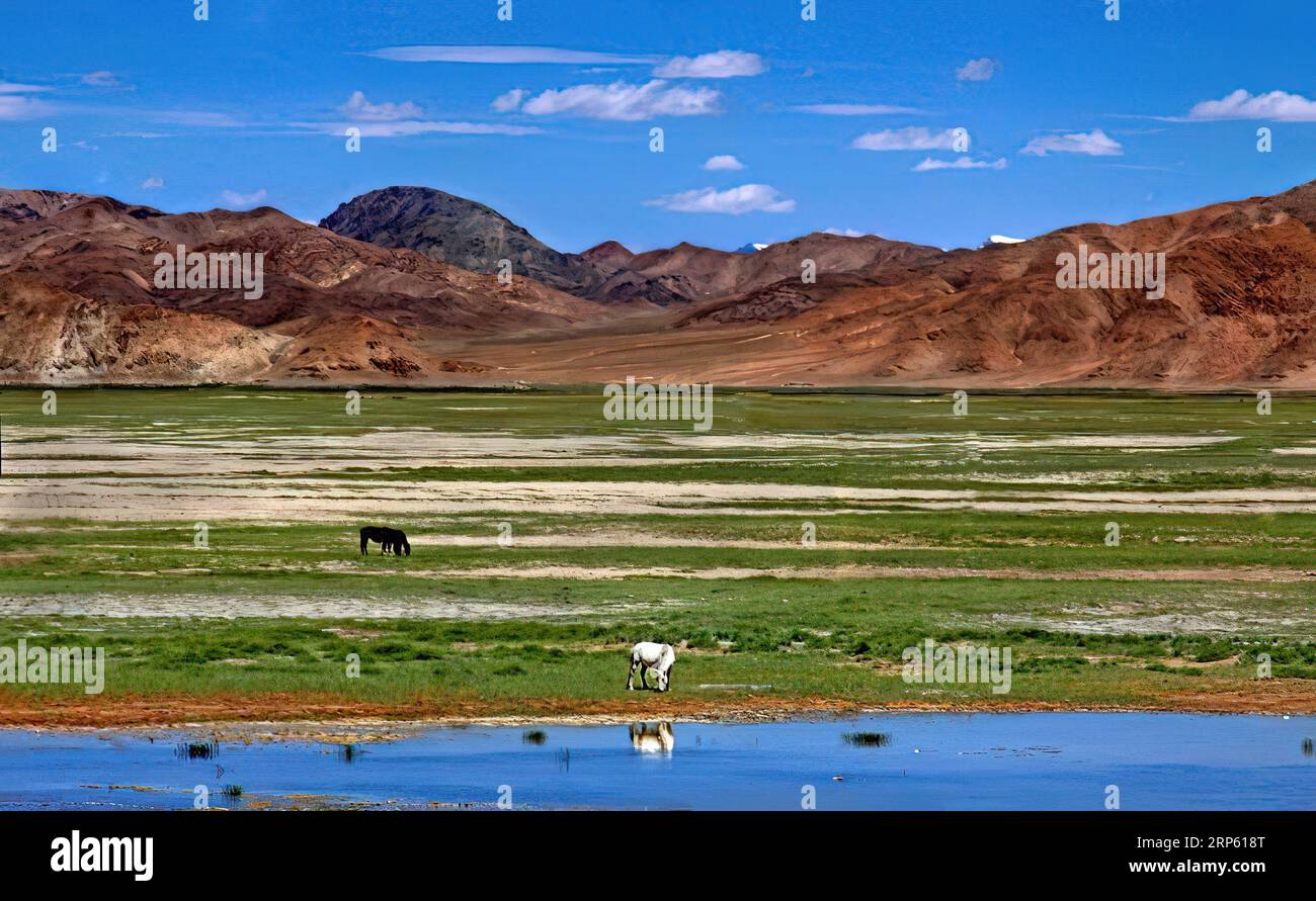 A stunning vista of a rugged mountain range in a desert biome populated ...