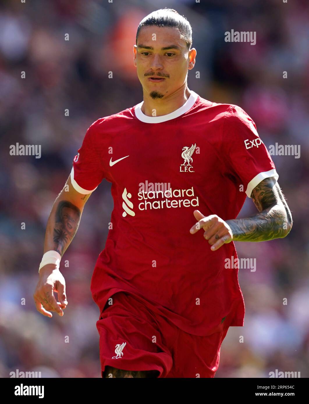 Darwin noe ez hi-res stock photography and images - Alamy