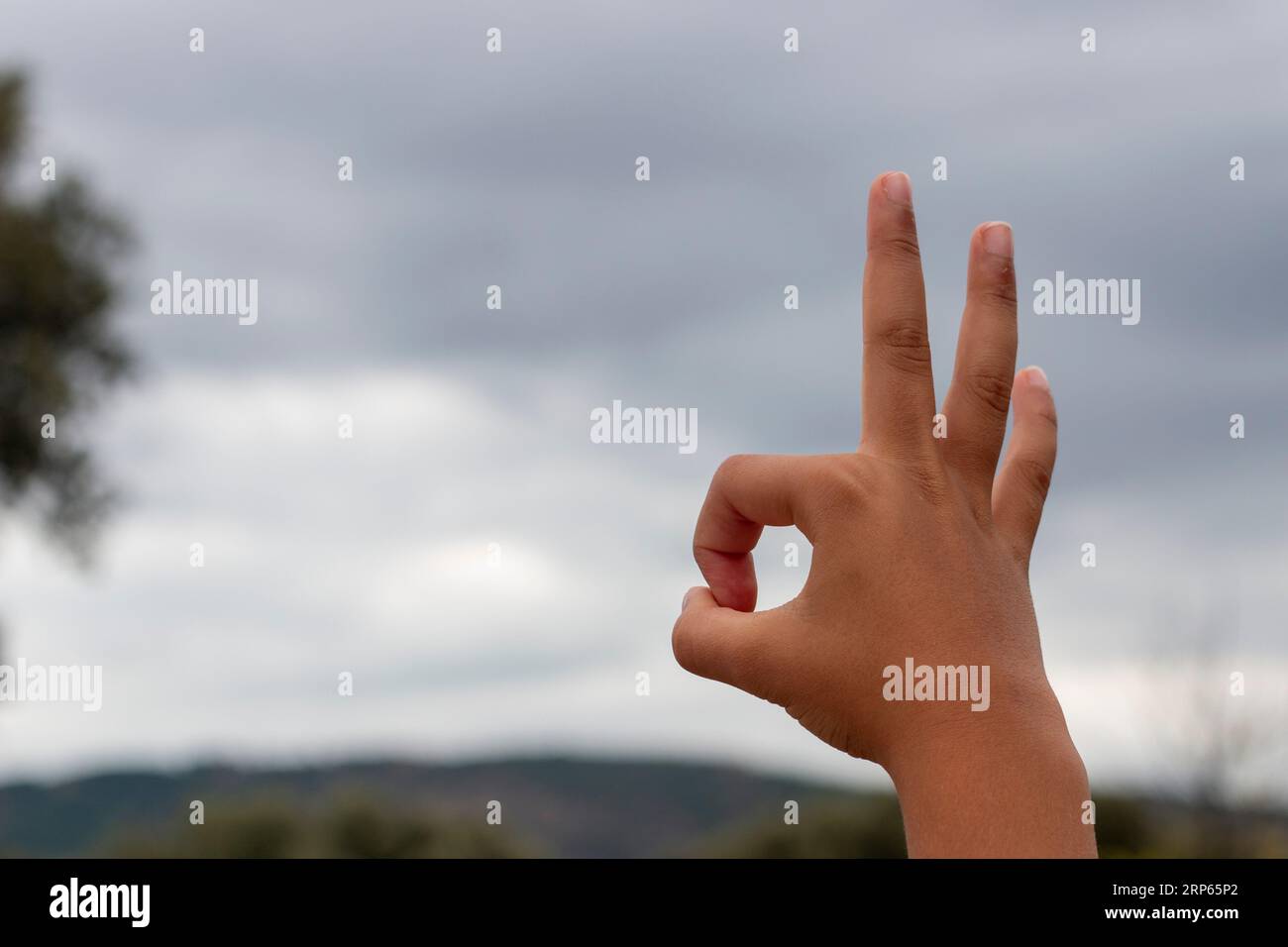 Child's hand making different shapes, either raising a finger, raising ...