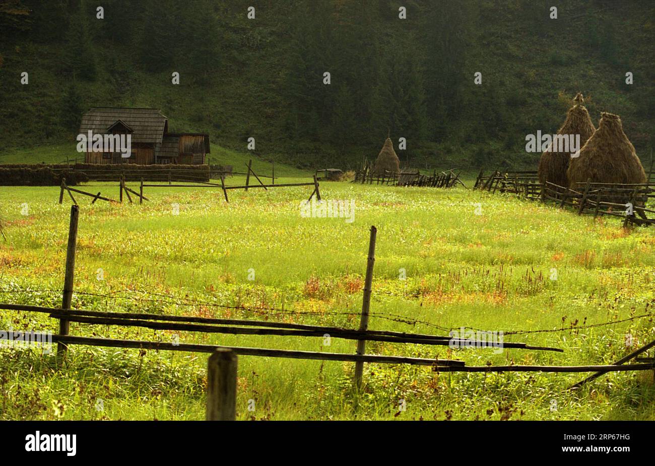 Pasture with traditional haystacks in Neamt County, Romania, approx ...