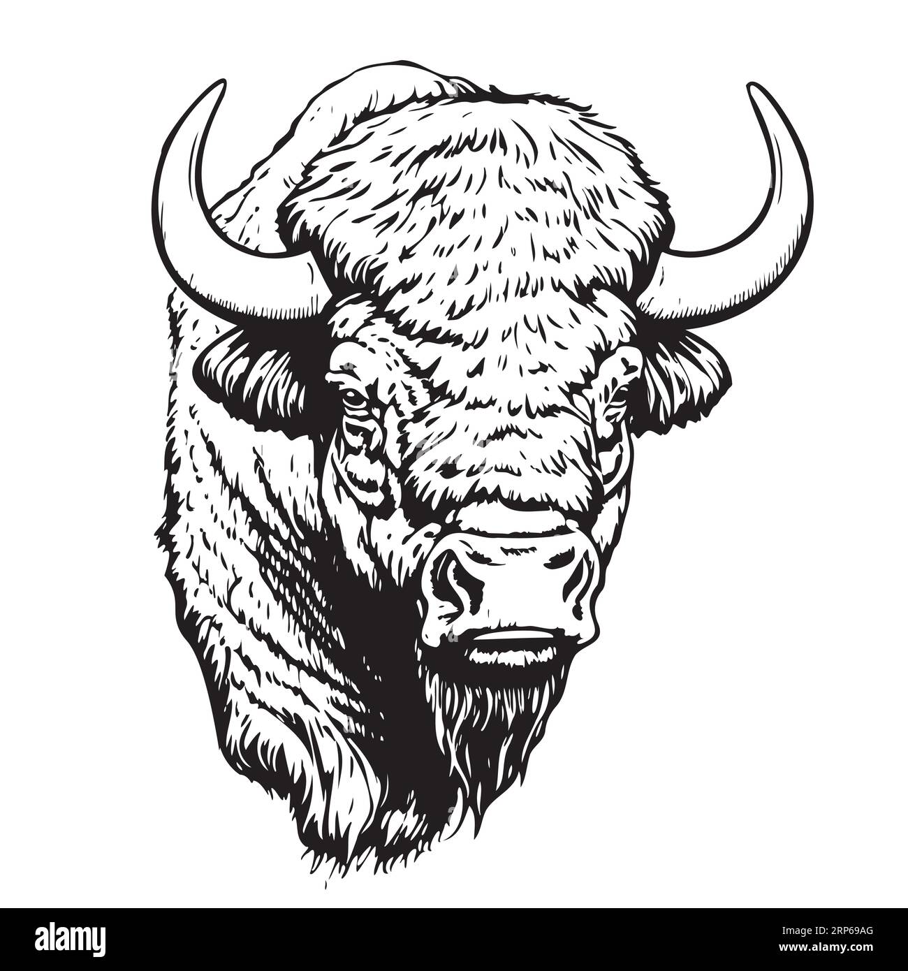 Head of buffalo logo sketch hand drawn Vector Stock Vector Image & Art ...