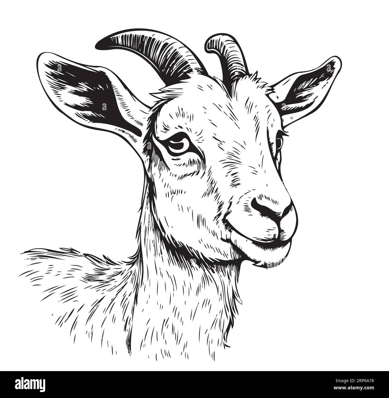 Farm animals sketch hi-res stock photography and images - Alamy