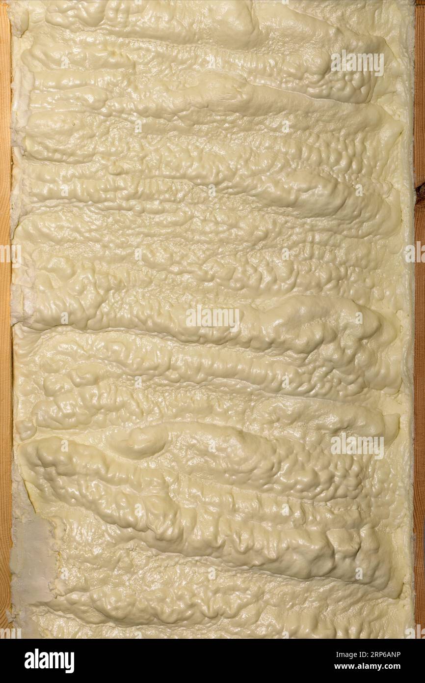 Texture of hardened construction yellow foam between wooden planks ...