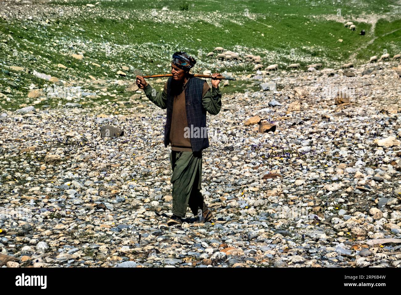 Bakerwal hi-res stock photography and images - Alamy