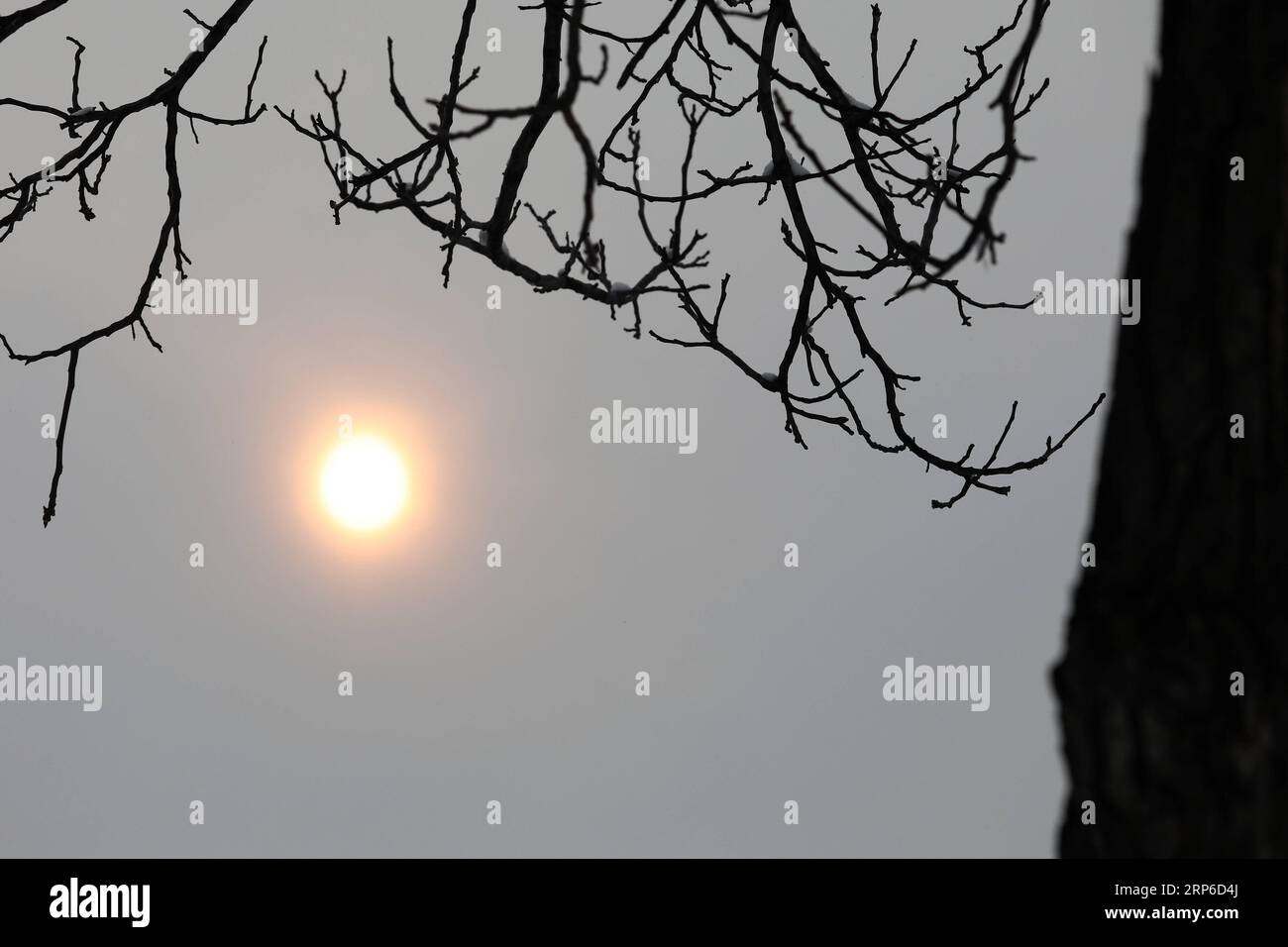 Sun seen through smog hi-res stock photography and images - Alamy