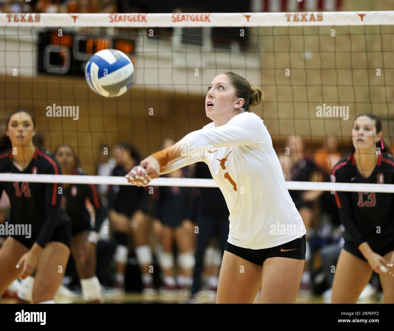 September 3, 2023: Texas setter Ella Swindle (1) digs the ball during ...