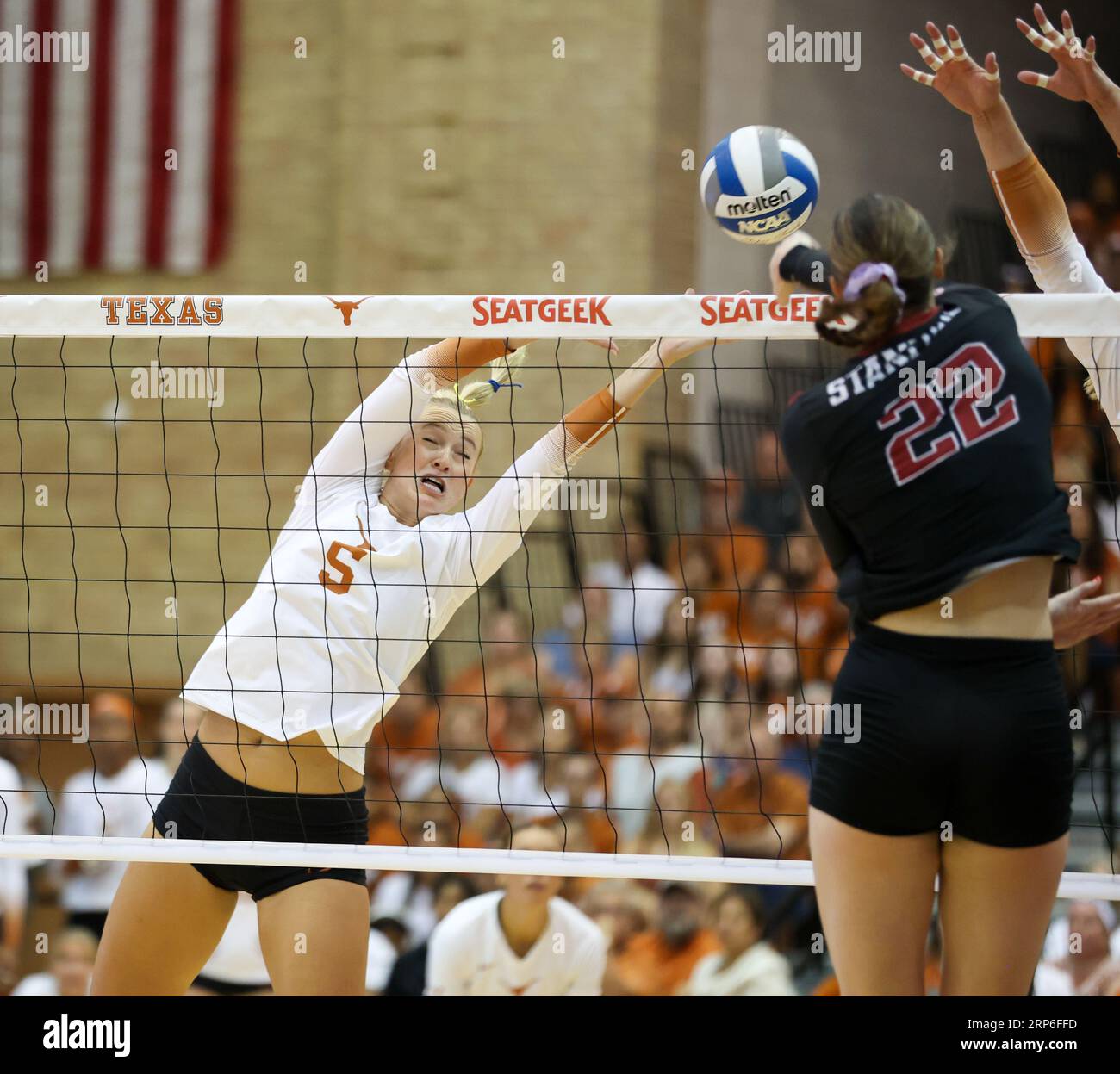 Bella bergmark hi-res stock photography and images - Alamy