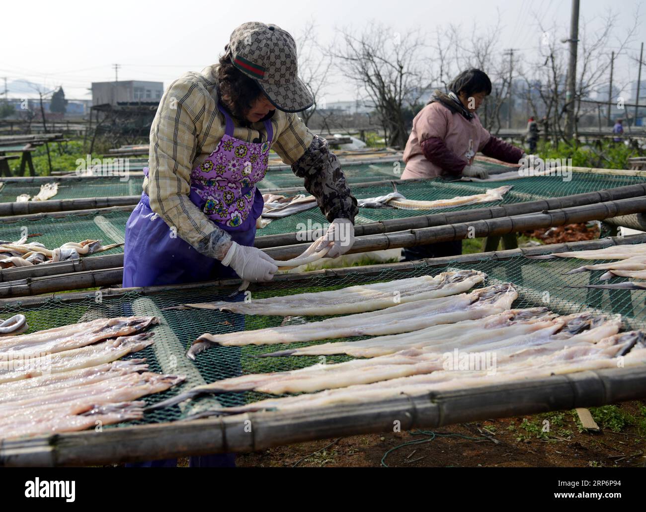 (190118) -- ZHOUSHAN, Jan. 18, 2019 (Xinhua) -- Villagers dry fish in ...