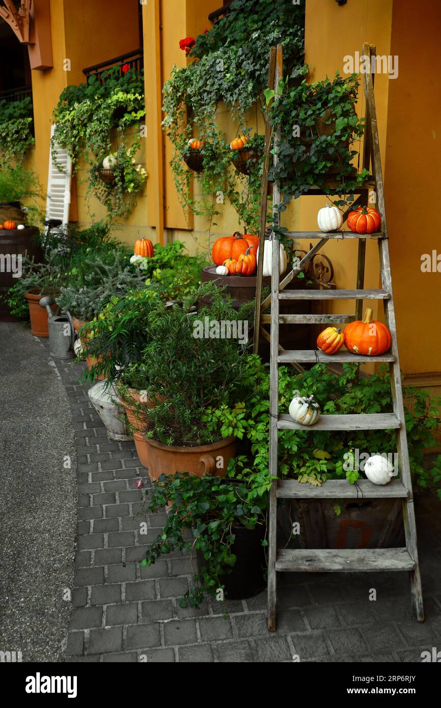 Halloween in the city decorated with pumpkin objects Stock Photo - Alamy