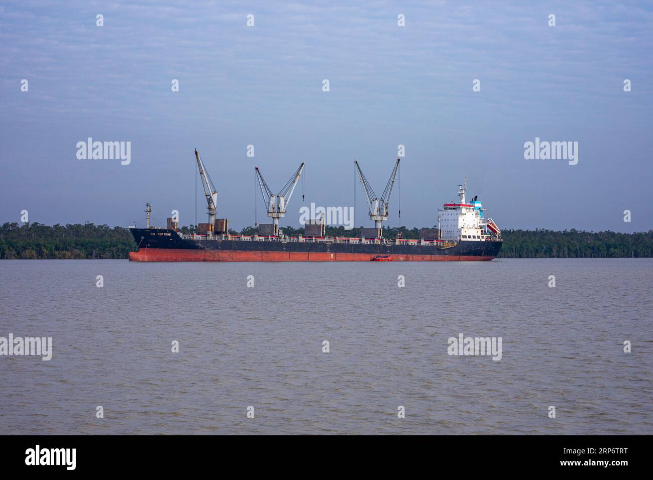 A foreign vessel anchored on the Pashur River on the outer anchorage of ...