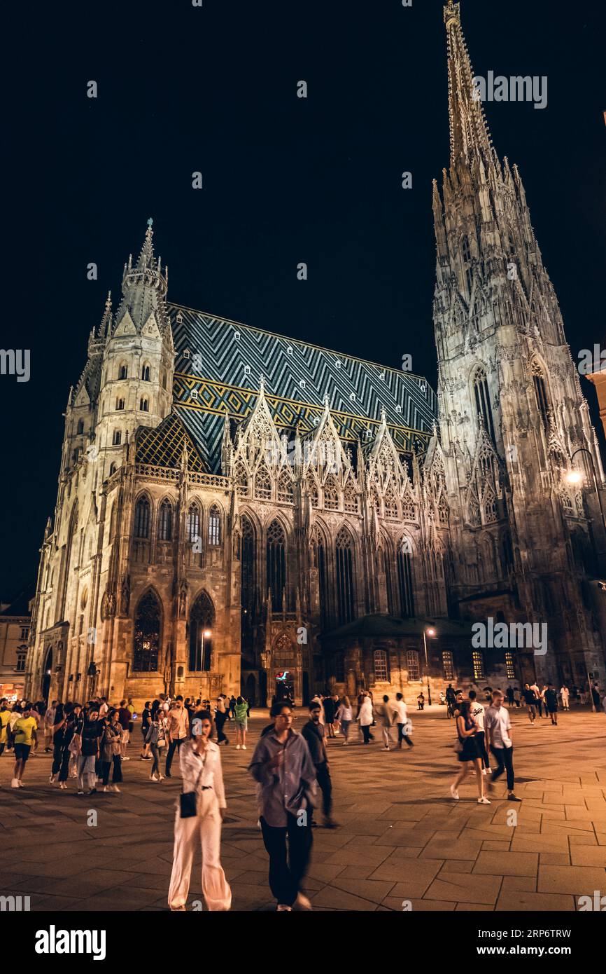 Image of St. Stephen's Cathedral in Vienna at night Stock Photo - Alamy