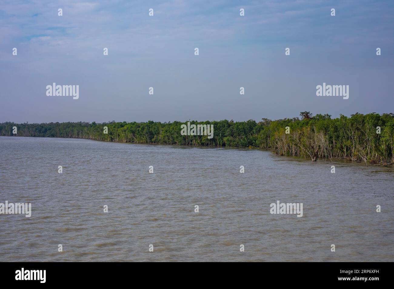 Sundarbans, Bnagladesh: Sundarbans Mangrove forest, the largest ...