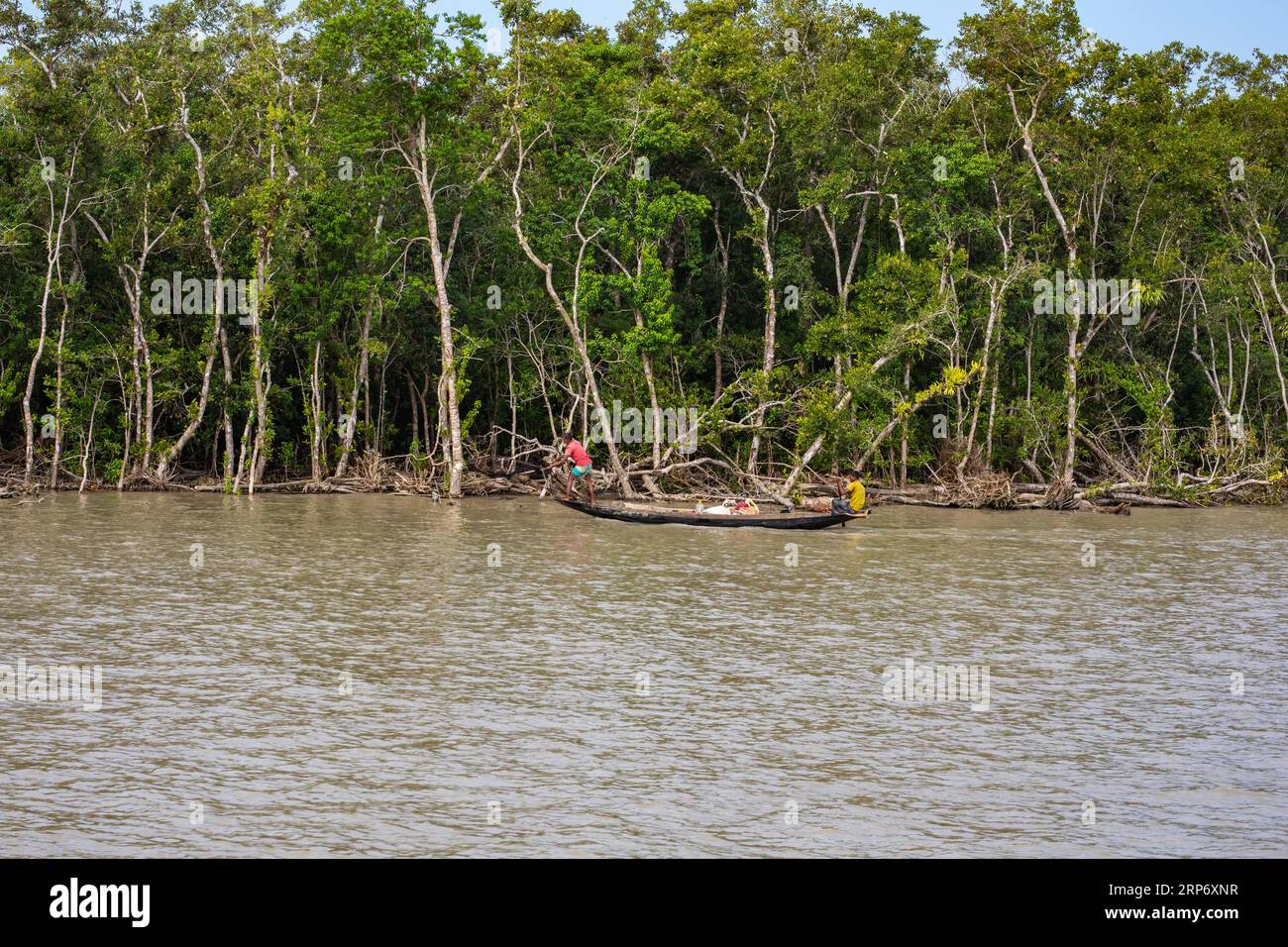 Sundarbans, Bnagladesh: Sundarbans Mangrove forest, the largest ...
