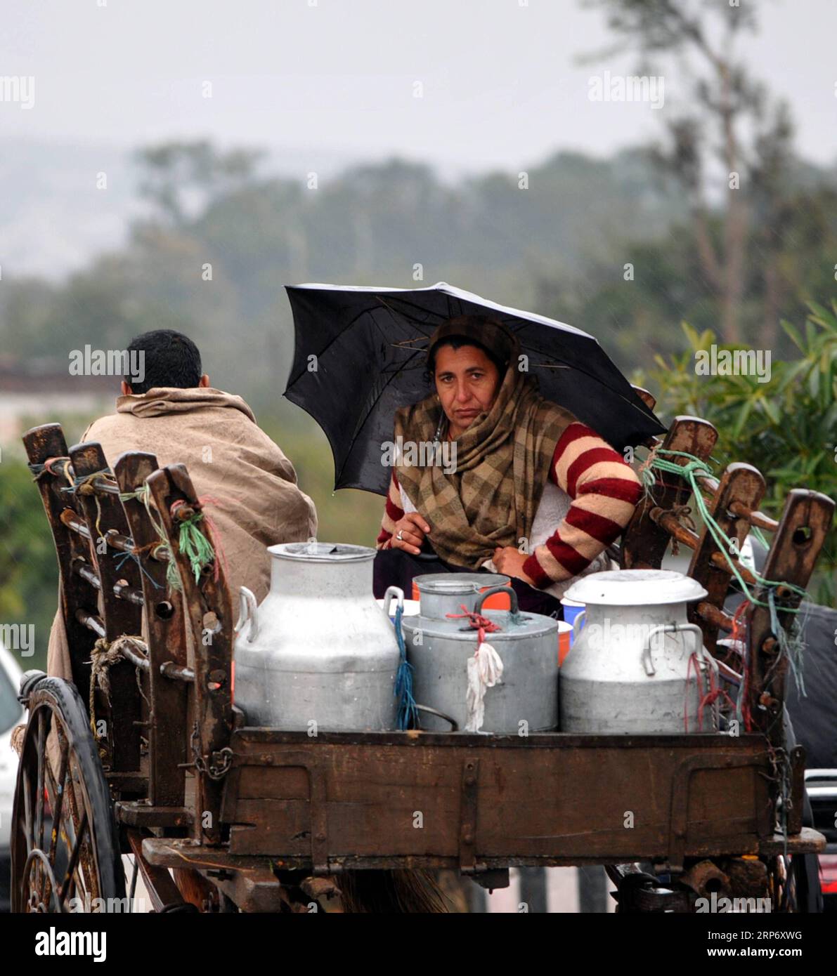 (190122) -- JAMMU, Jan. 22, 2019 -- A woman takes shelter under an ...