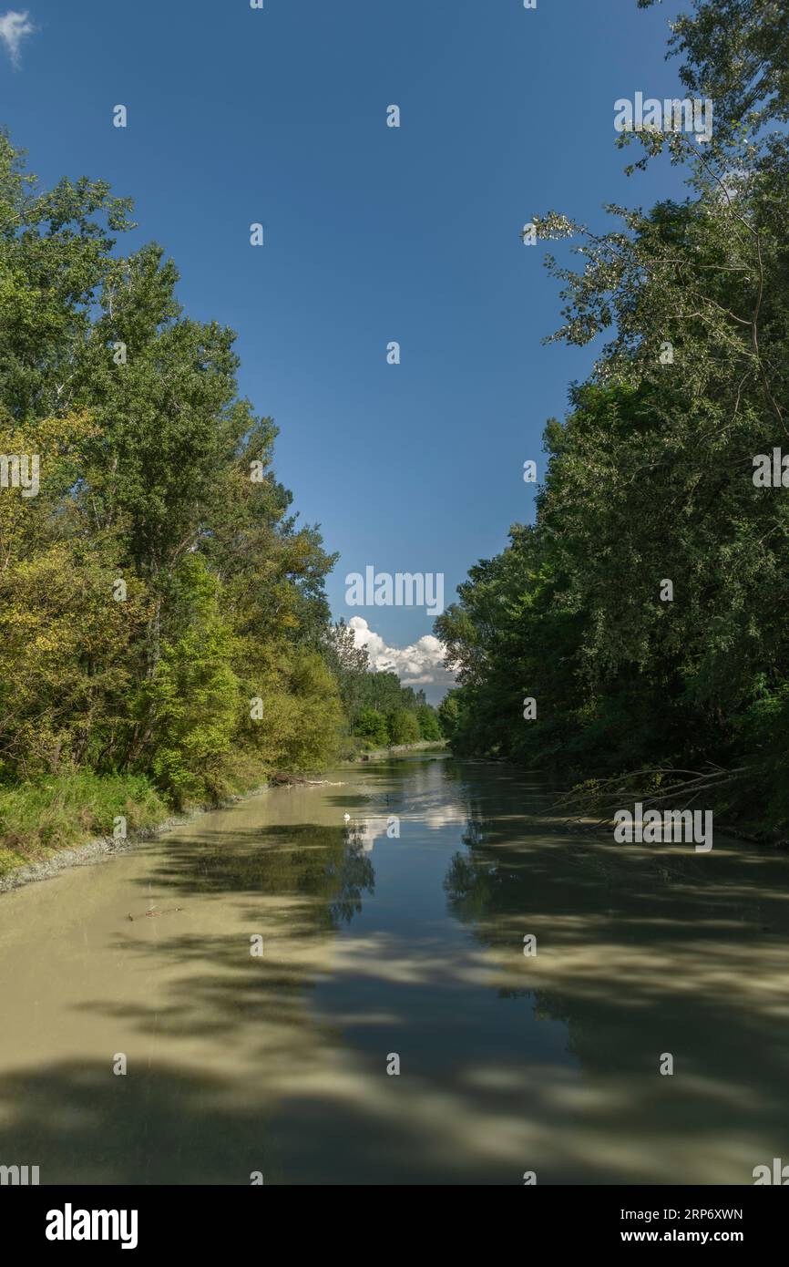 Stockgraben canal near Krems and Donau rivers in color forest of flat ...