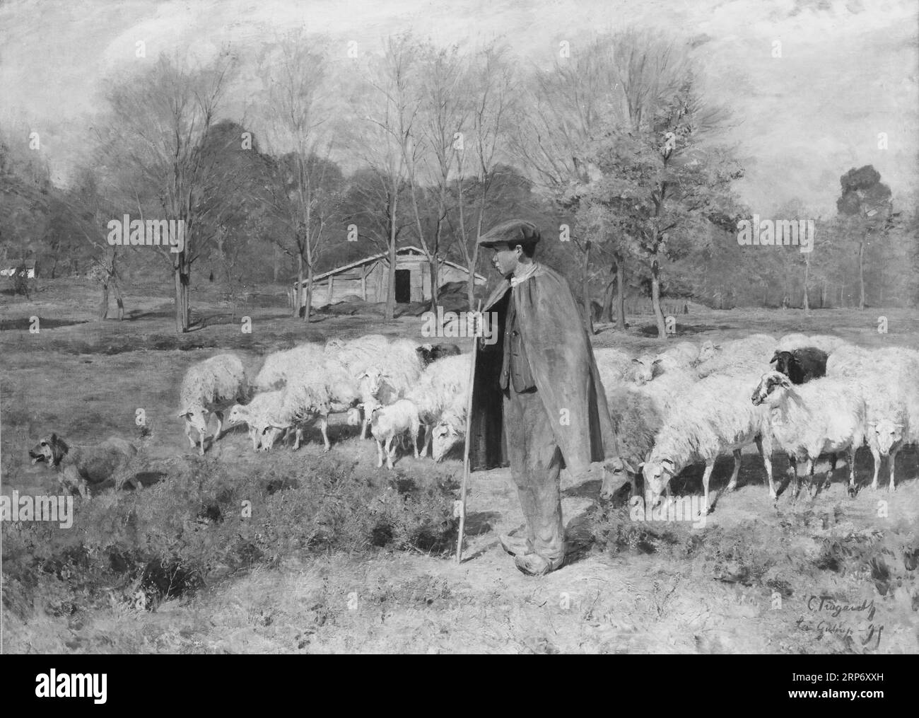 Young flock Black and White Stock Photos & Images - Alamy