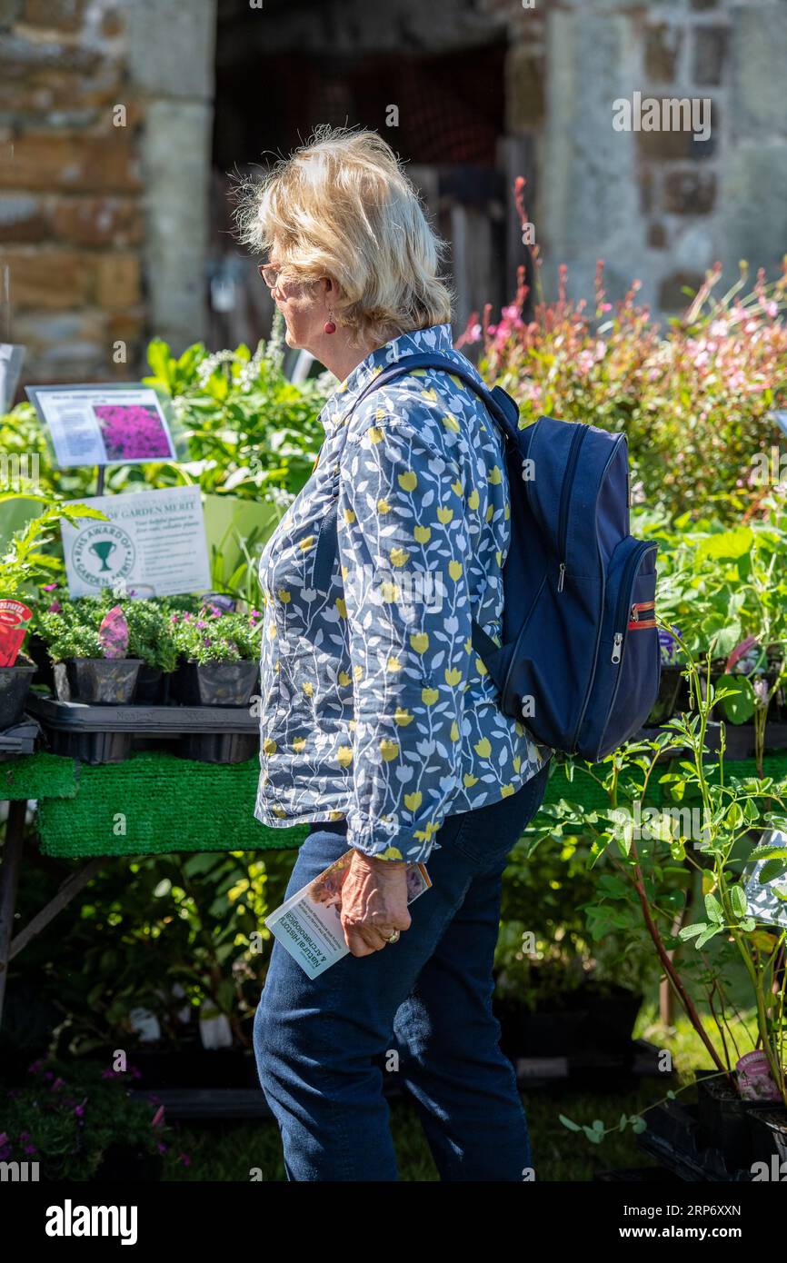 lady or woman choosing plants and browsing the displays of pants and ...