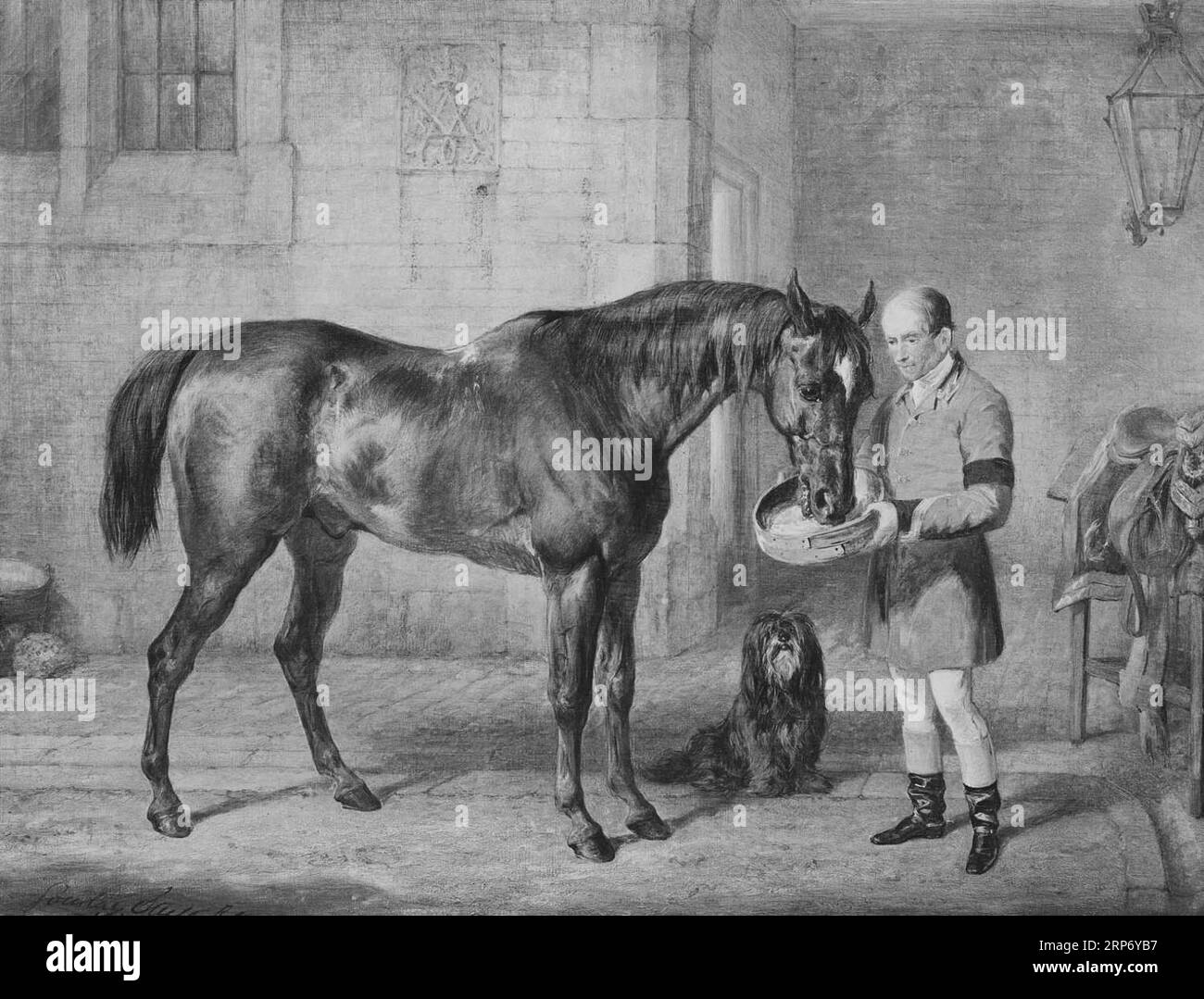 Andrew gourlay hi-res stock photography and images - Alamy