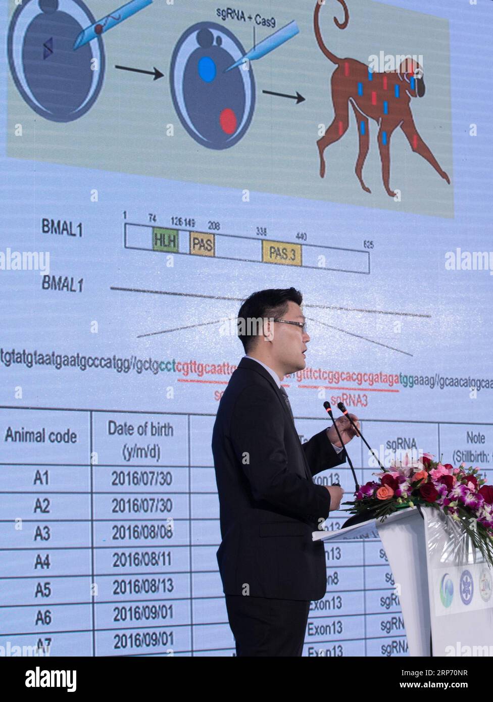 Nurosiencechnes hi-res stock photography and images - Alamy