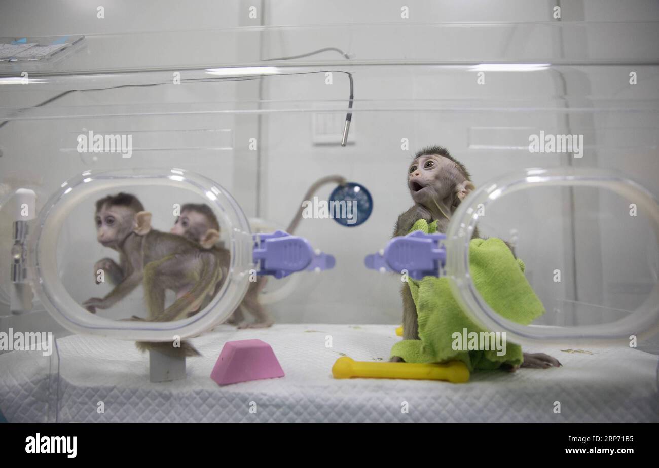 Circadian disorders hi-res stock photography and images - Alamy