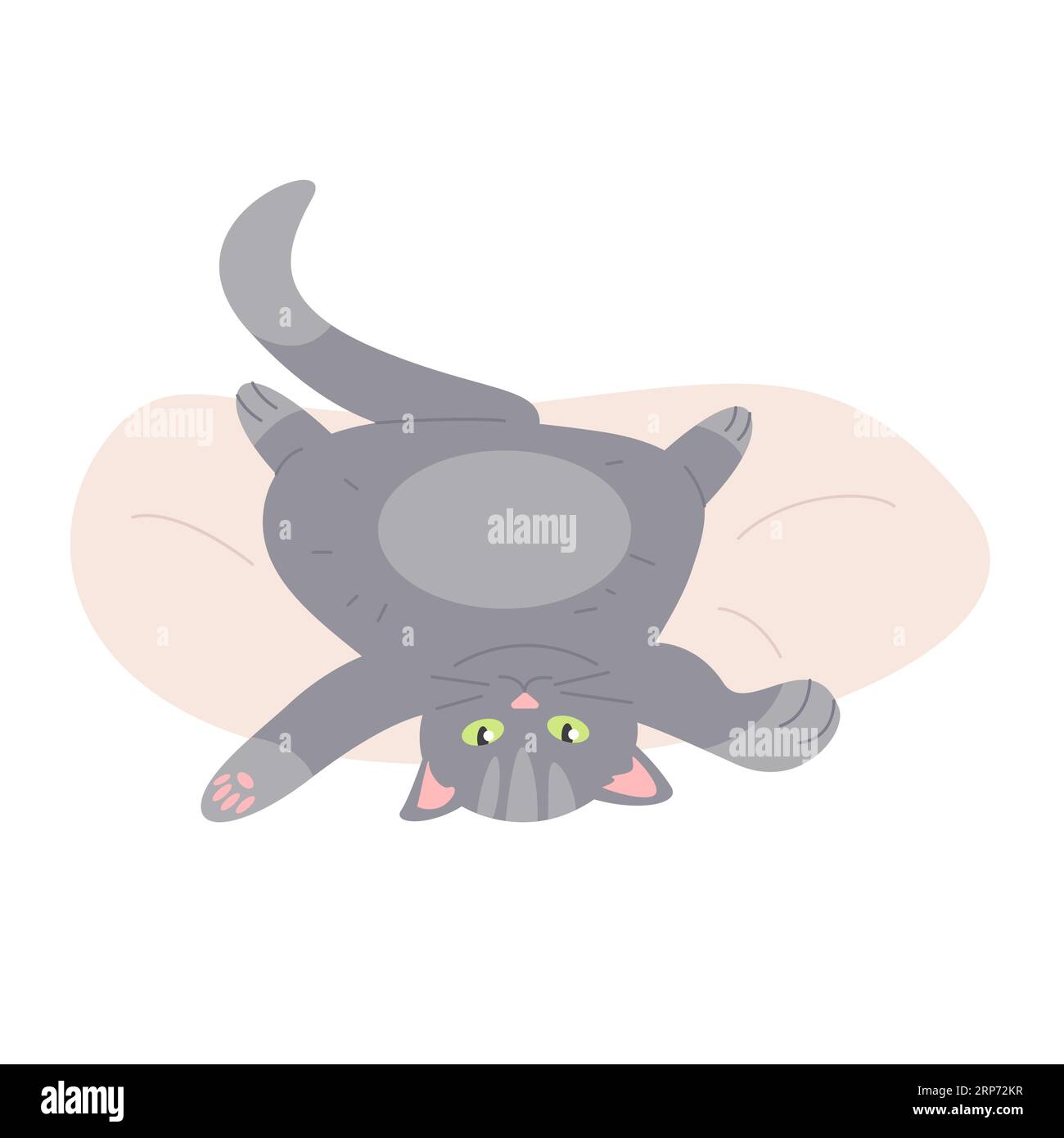 Relaxed lazy cat on soft small bed. Lying on back kitten, home furry ...