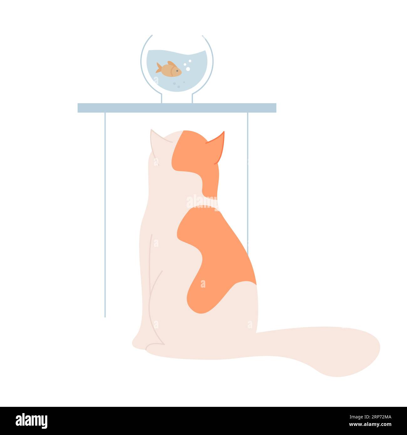 Cat watching goldfish hi-res stock photography and images - Alamy