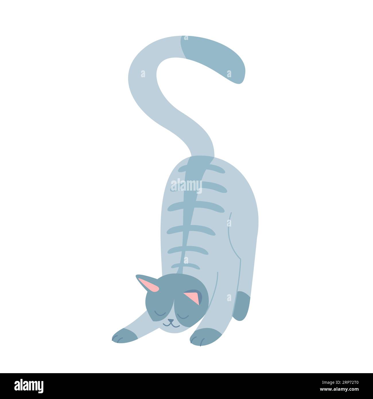 Cute fluffy cat stretching. Furry domestic pet, funny family kitten ...