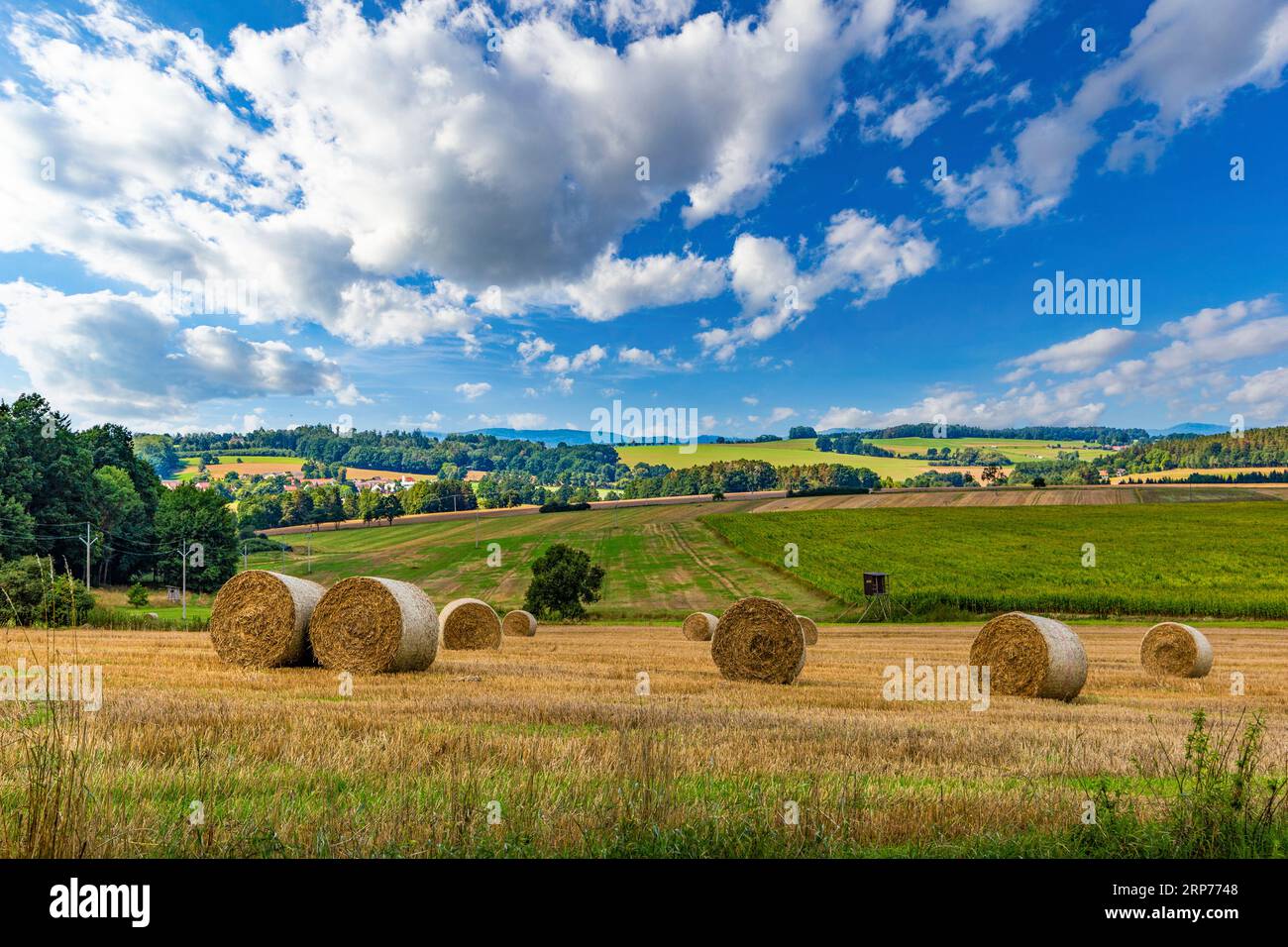Round hay bale on a field with trees and a farms under a blue cloudy ...
