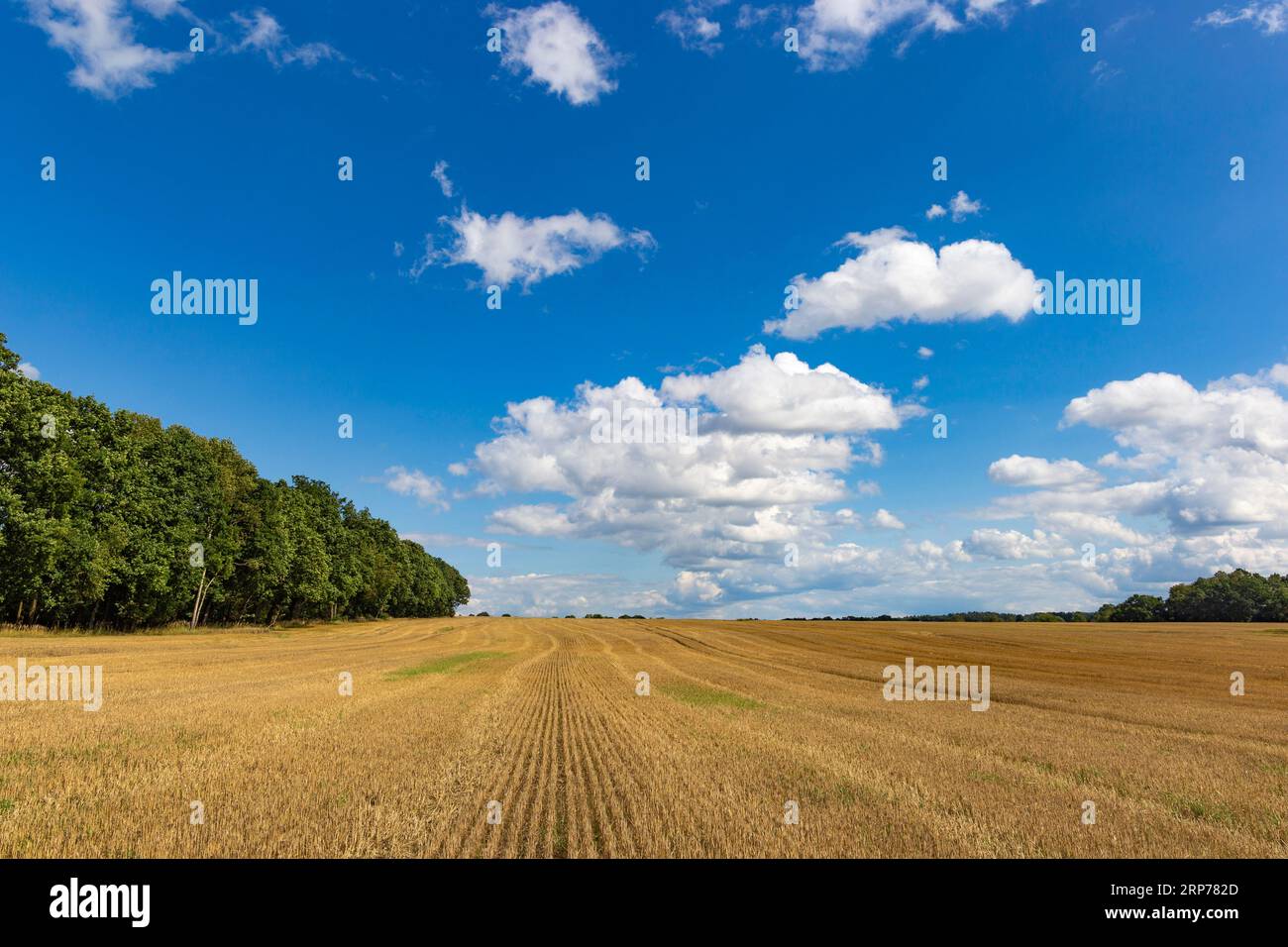 Beveled field hi-res stock photography and images - Alamy