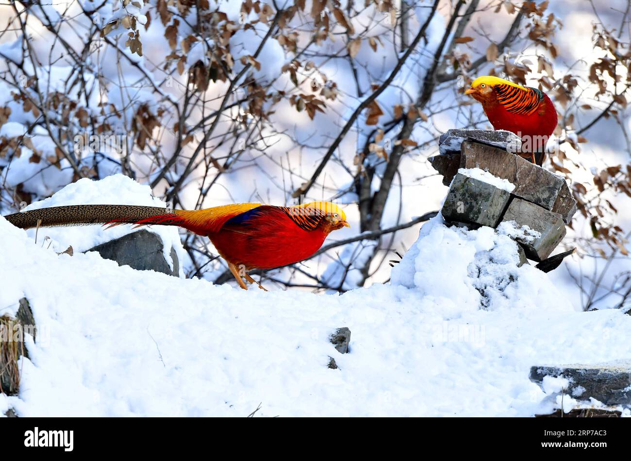 Jianan village hi-res stock photography and images - Alamy