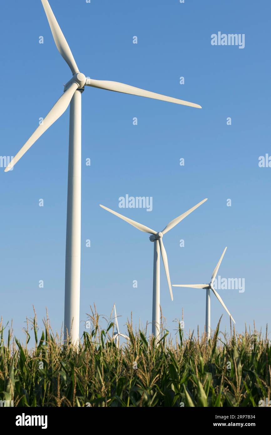 Wind turbine, wind turbines, wind farm, maize field, Baden-Wuerttemberg ...