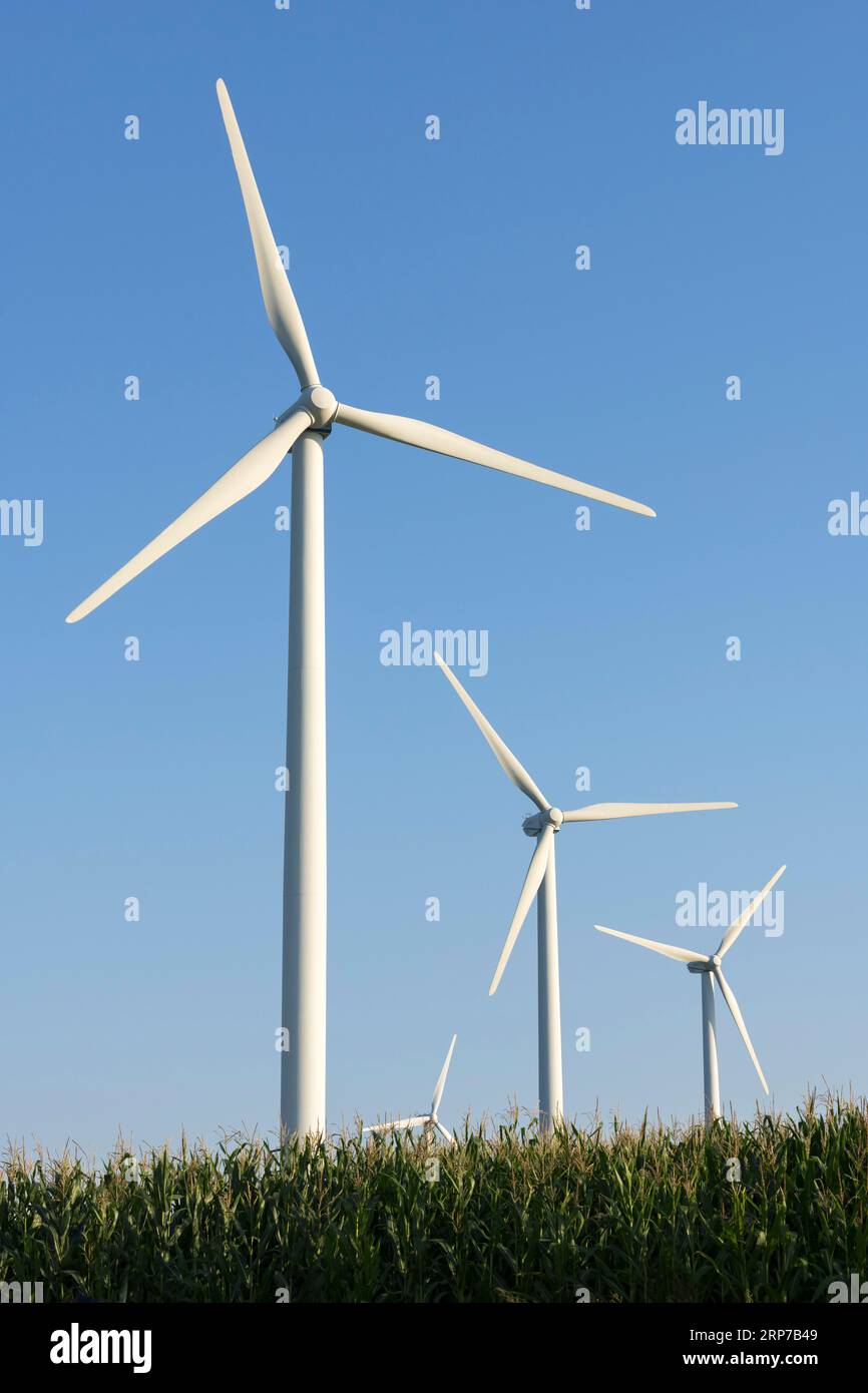Wind turbine, wind turbines, wind farm, maize field, Baden-Wuerttemberg ...