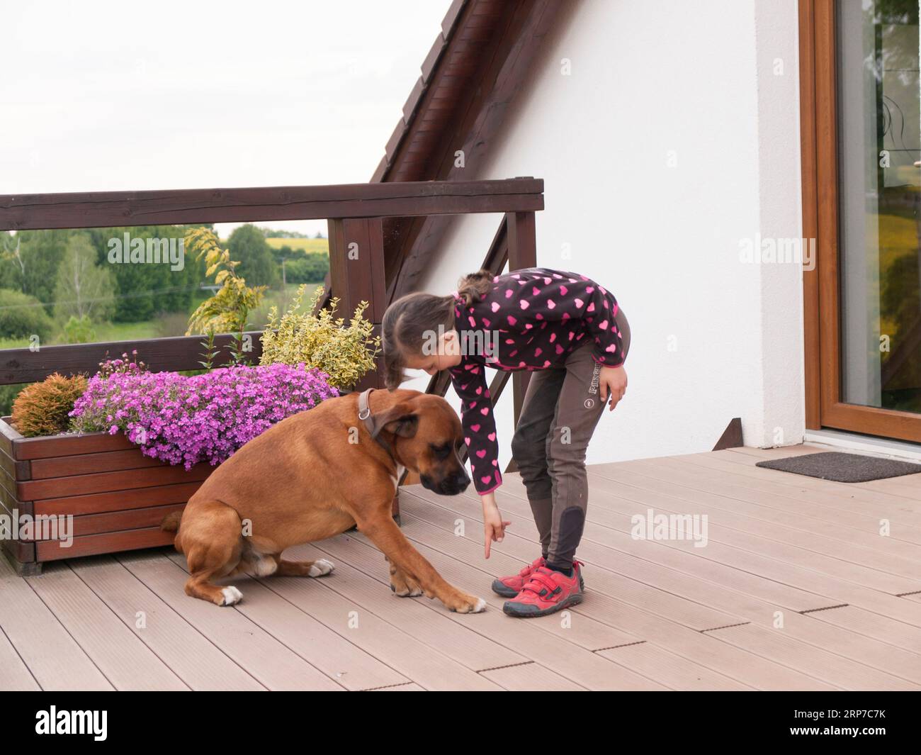 Girl training dog hi-res stock photography and images - Alamy