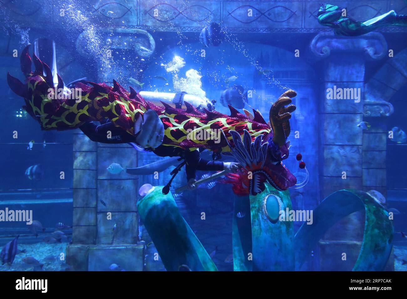 Underwater dragon dance hi-res stock photography and images - Alamy